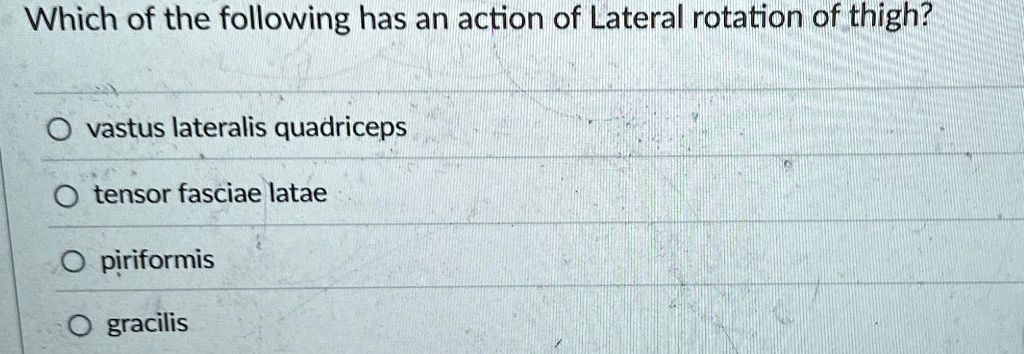 which of the following has an action of lateral rotation of thigh o ...