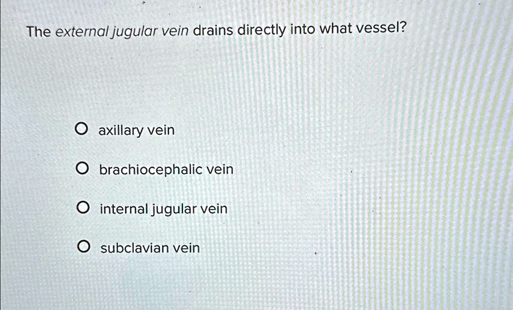 the external jugular vein drains directly into what vessel axillary ...