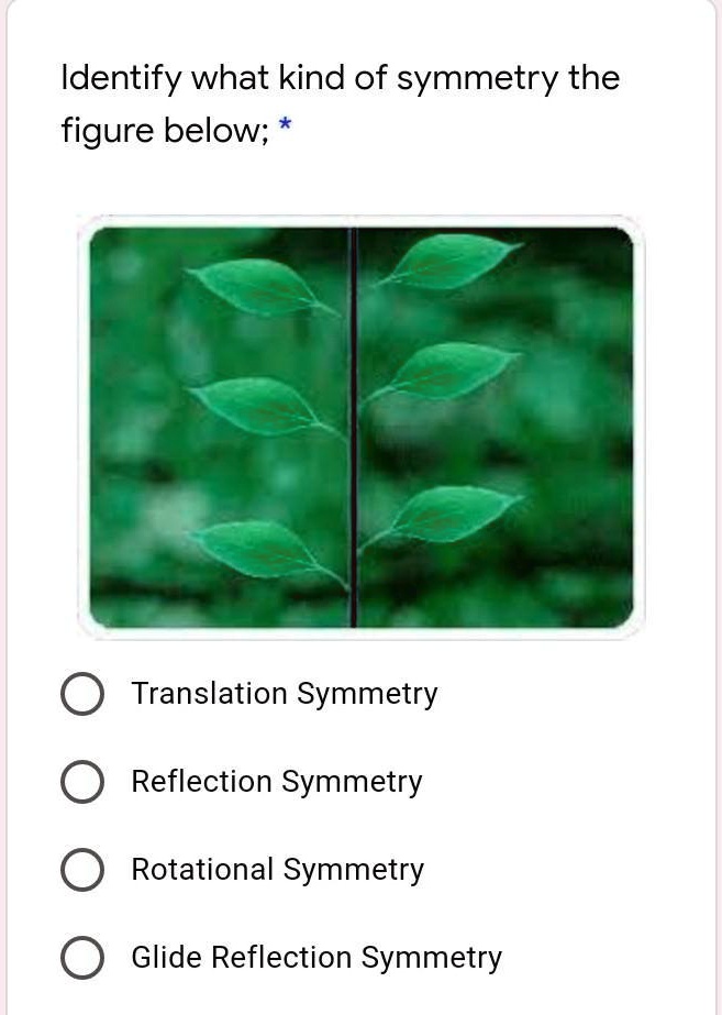 'Identify what kind of symmetry the figure below Identify what kind of ...