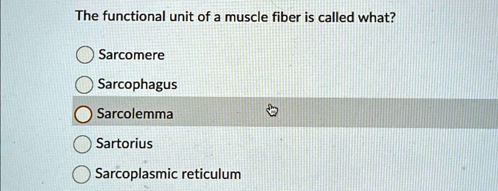 SOLVED: The functional unit of a muscle fiber is called what? Sarcomere ...