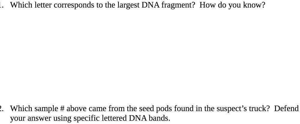 1. Which letter corresponds to the largest DNA fragment? How do you ...