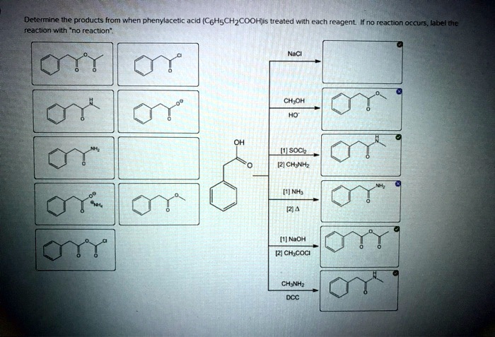 determine the products from when phenylacetic acid cghsch2coohjis ...
