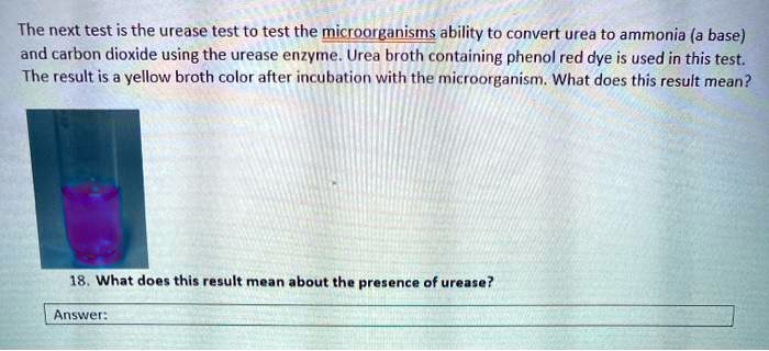 SOLVED:The next test is the urease test to test the microorganisms ...
