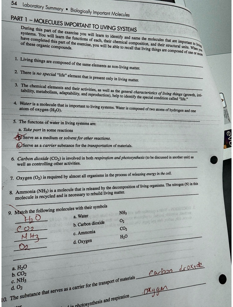 54 laboratory summary biologically important molecules part 1 molecules ...