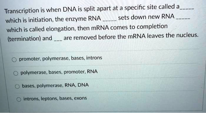 SOLVED: Transcription is when DNA is split . apart at a specific site ...
