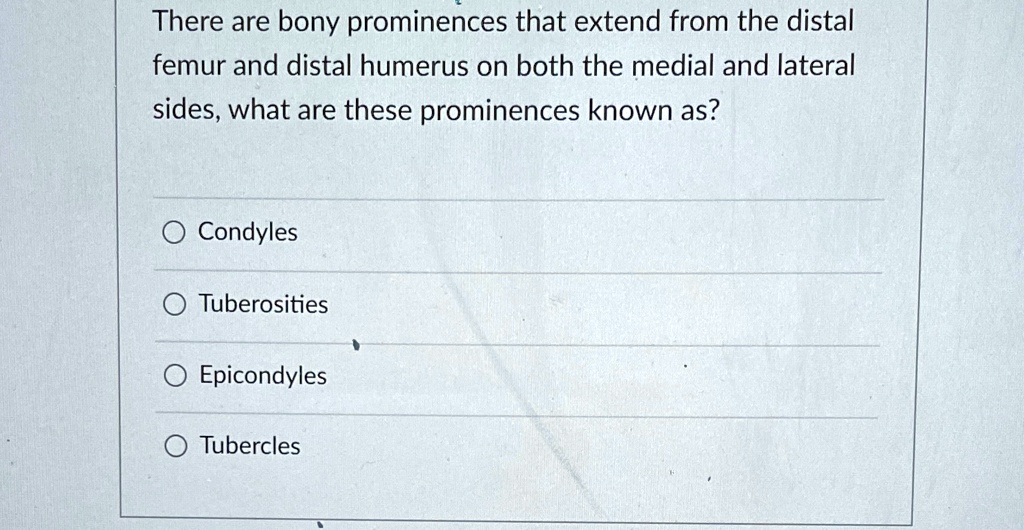 there are bony prominences that extend from the distal femur and distal ...