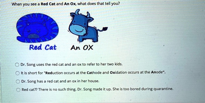 when you see red cat and an ox what does that tell you red cat an ox dr ...