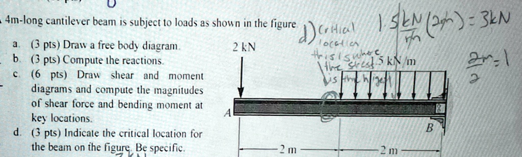 a 4m long cantilever beam is subject to loads as shown in the figure a 3 pts draw a free body ...