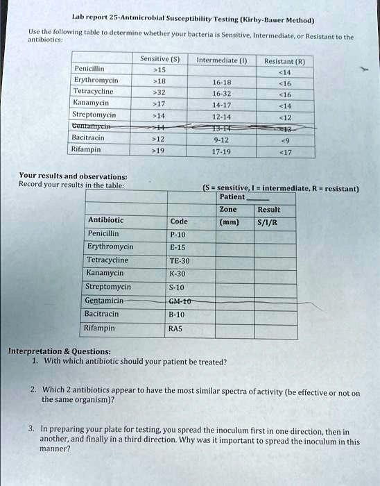 Lab Report 25 - Antimicrobial Susceptibility Testing (Kirby-Bauer ...