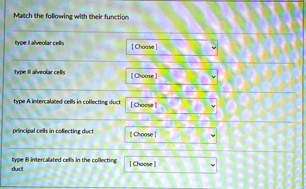 Match the following with their function type I alveolar cells type II ...