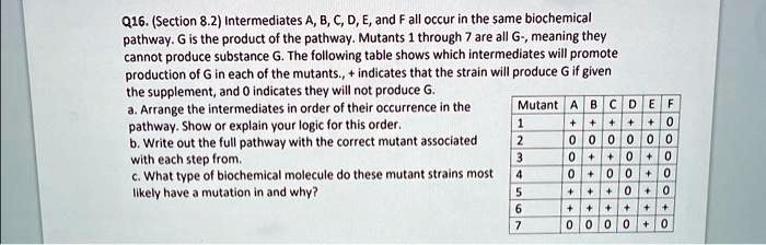 Q16. (Section 8.2) Intermediates A, B, C, D, E, and F all occur in the ...