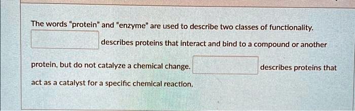 SOLVED: The words "protein" and "enzyme" are used to describe two classes of functionality ...