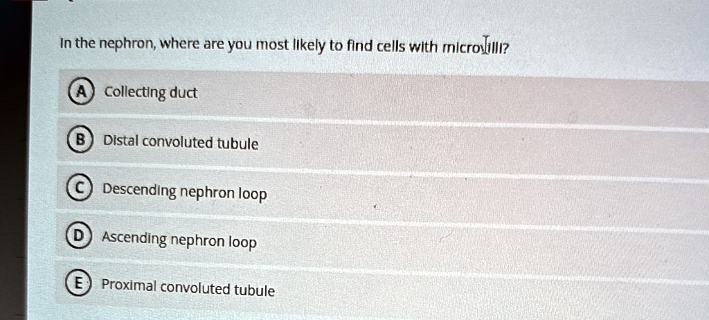 In the nephron, where are you most likely to find cells with microvilli ...
