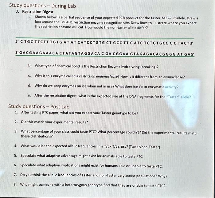 Study questions - During Lab 3. Restriction Digest a. Shown below is a ...