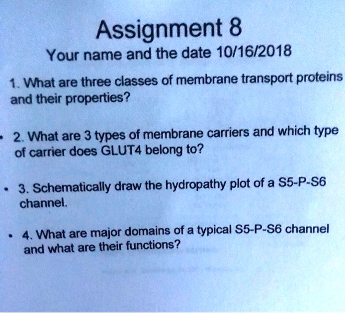 assignment 8 your name and the date 10162018 what are three classes of ...