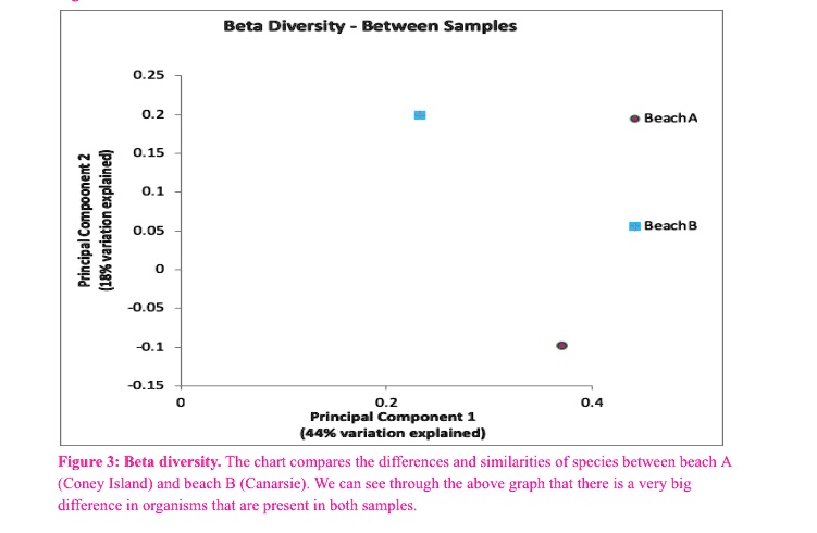 SOLVED:Beta Diversity Between Samples 0.25 0.2 BeachA 0.15 0.1 H 0.05 1 ...