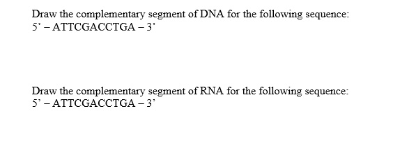 SOLVED: Draw the complementary segment of DNA for the following ...