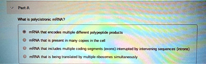 par what polycistronic mrna mrna that encodes multiple different ...