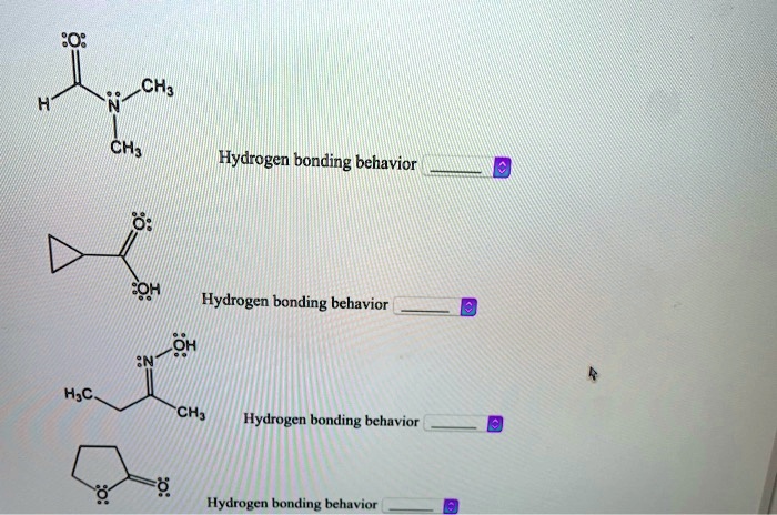 cha hydrogen bonding behavior hydrogen bonding behavior hsc hydrogen ...
