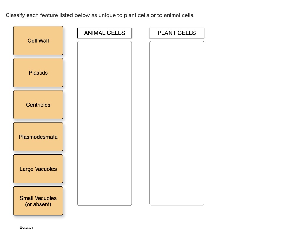 classify each feature listed below as unique to plant cells or to ...