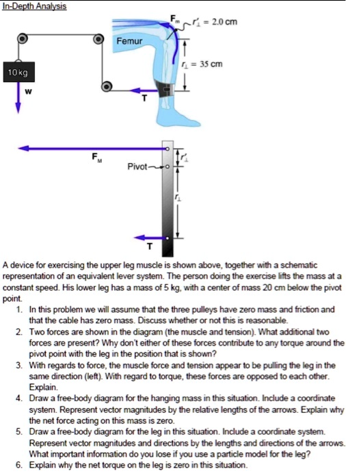 in depth anansis cr 20 cm femur 35 cm 10kg pivot device for exercising ...