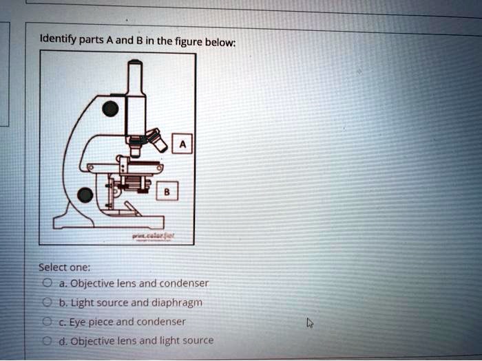 SOLVED: Identify parts A and B in the figure below: Select one; a. Objective lens and condenser ...