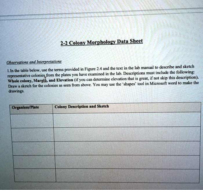 Observations and Interpretations 2-2 Colony Morphology Data Sheet 1.In ...