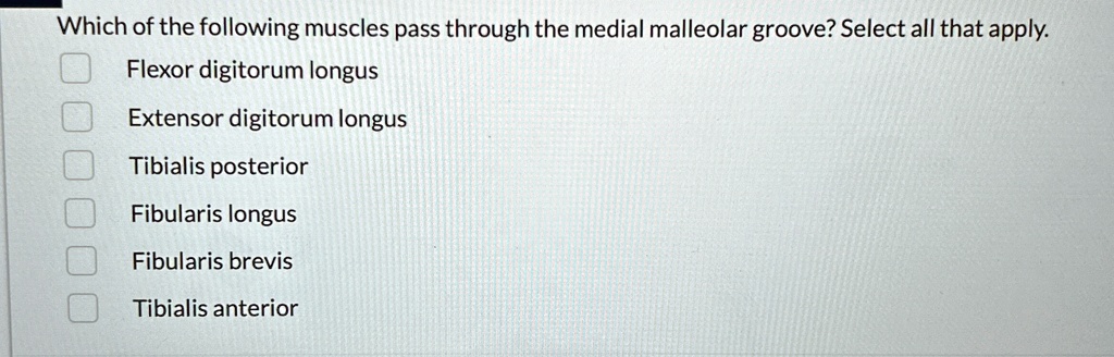 Which of the following muscles pass through the medial malleolar groove ...