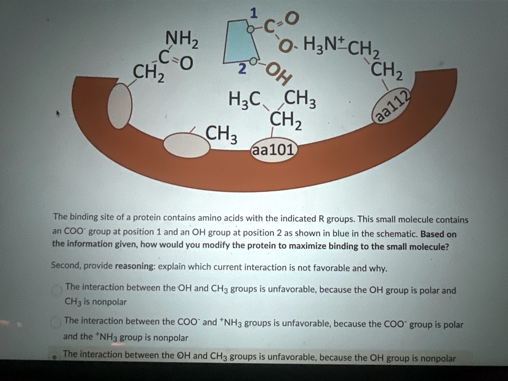 co oh3n ch2 nh2 co ch2 20 oh ch2 ch3 aa101 h3c ch3 ch2 aa112 the ...