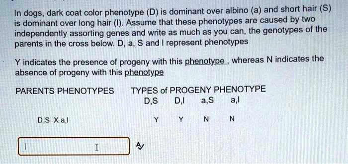 In dogs dark coat color phenotype d is dominant over albino...