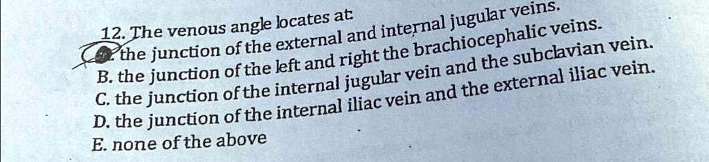 The venous angle locates at: the junction of the external and internal ...