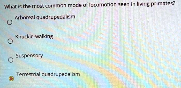SOLVED: What is the most common mode of locomotion seen in living ...