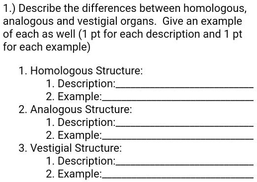 SOLVED: 1.) Describe the differences between homologous, analogous and ... SOLVED: 1.) Describe the differences between homologous, analogous and ...