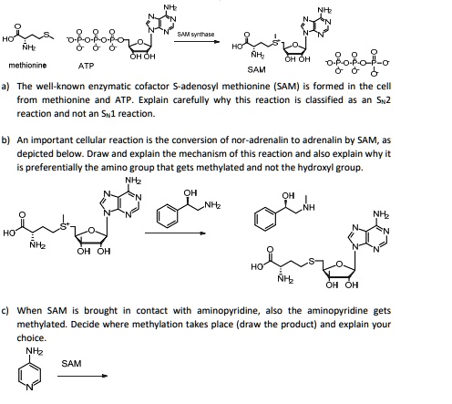 SOLVED: peminare OHOH CH OH 8o8o 8 mcininnine SAM The well-known ...