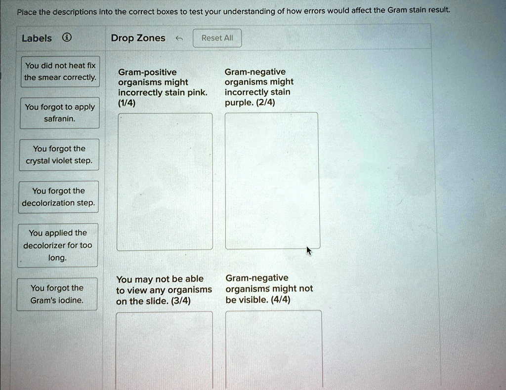 Place the descriptions into the correct boxes to test your ...