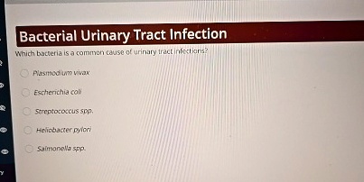 bacterial urinary tract infection which bacteria is a common cause of ...
