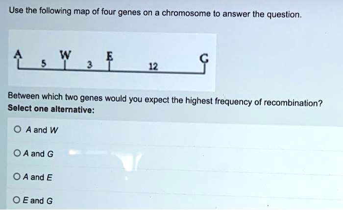 SOLVED: Use the following map of four genes on a chromosome to answer ...