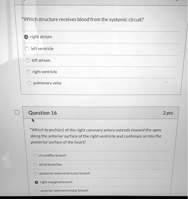 SOLVED: Which structure receives blood from the systemic circuit? right atrium left ventricle ...