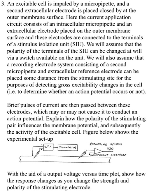 an excitable cell is impaled by a micropipette and a second ...