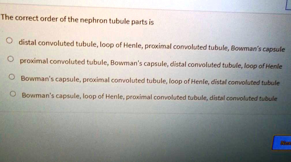 SOLVED: The correct order of the nephron tubule parts is: proximal ...