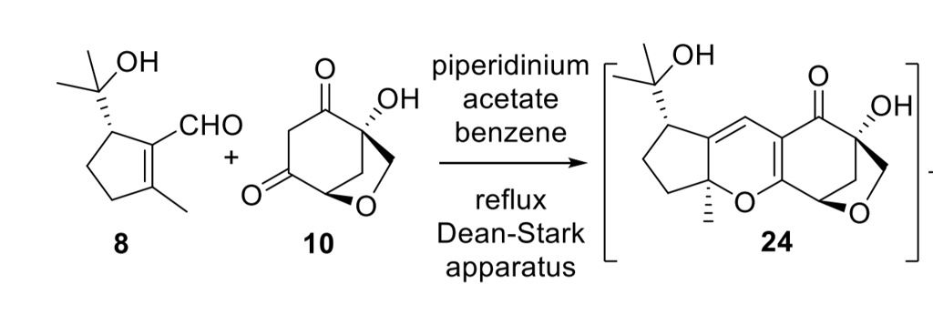 OH CHO pipiperidinium OH acetate benezene OH ? OH + ? 8 10 reflux Dean ...