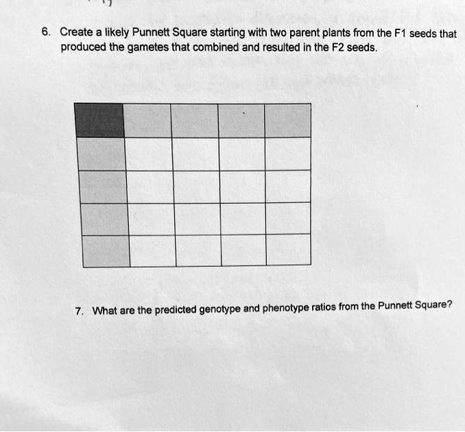 SOLVED:Create a likely Punnett Square starting with two parent plants ...