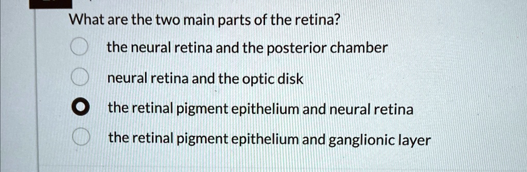What are the two main parts of the retina? the neural retina and the ...