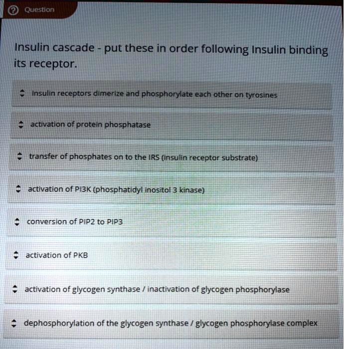 SOLVED: Question Insulin cascade put these in order following Insulin ...