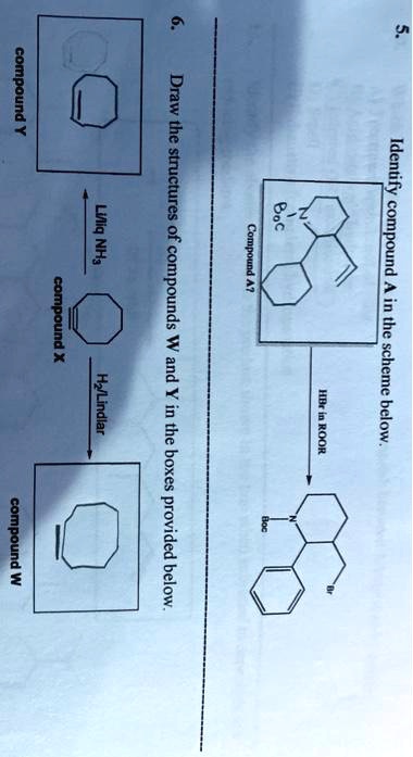 SOLVED:compound Y Draw the structures Identify Liliq NHa of Compound 47 ...