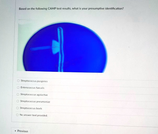 SOLVED: Based on the following CAMP test resuits, what presumptive ...