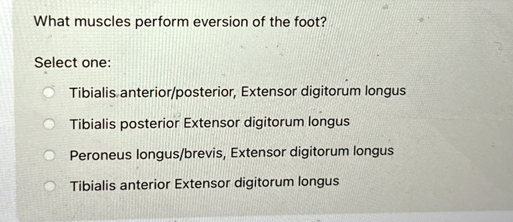What muscles perform eversion of the foot? Select one: Tibialis ...