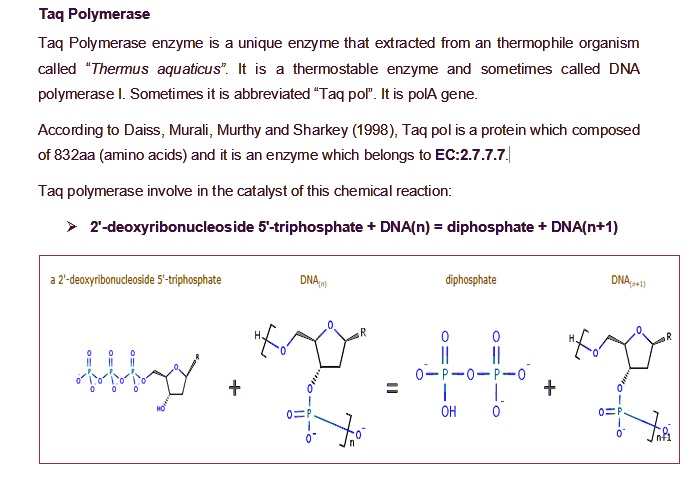 SOLVED: Taq Polymerase is a unique enzyme that is extracted from a ...