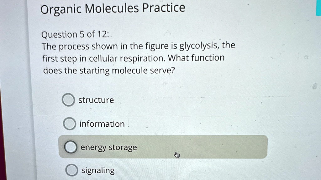 organic molecules practice question 5 of 12 the process shown in the ...