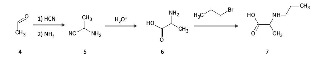 SOLVED: What is the reaction mechanism for the reaction below CH3 NH2 ...